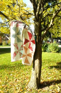 Throwback Thursday: Pinwheels! | Missouri Star Blog